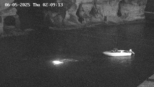 Bracconieri alla spiaggia della Gaiola rubano 1000 ricci di mare: presi ...
