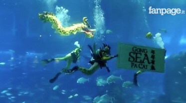 La danza subacquea del dragone: suggestivo spettacolo per il Capodanno ...
