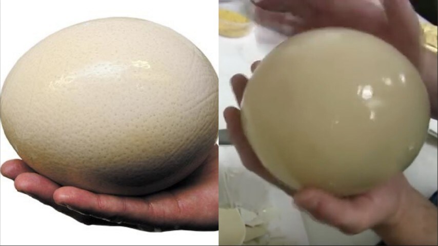 Uova di struzzo: un'ottima ricetta per cucinarle