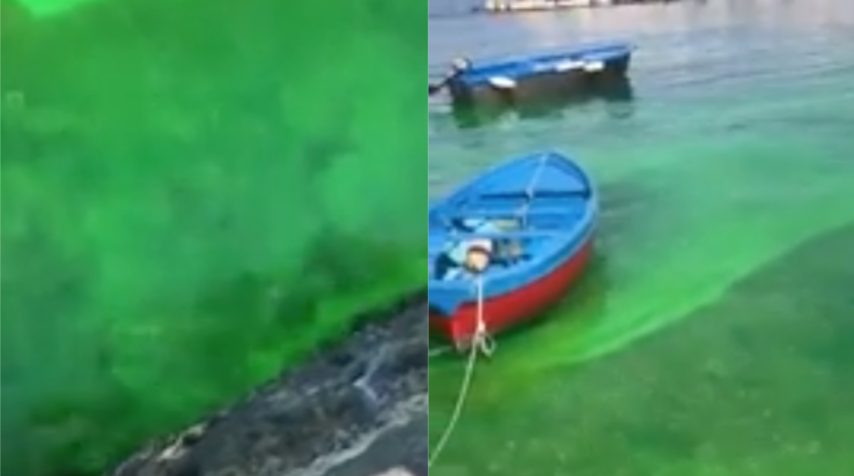 Napoli, il mare diventa color verde fluorescente: paura tra i cittadini